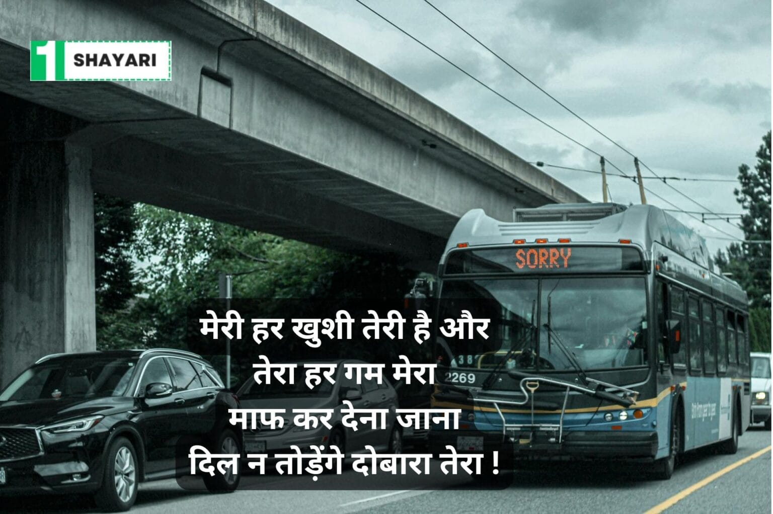 Best Sorry Shayari In Hindi| माफी मांगने वाली सॉरी शायरी